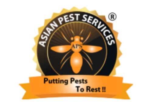 Home - Pest Control Wala